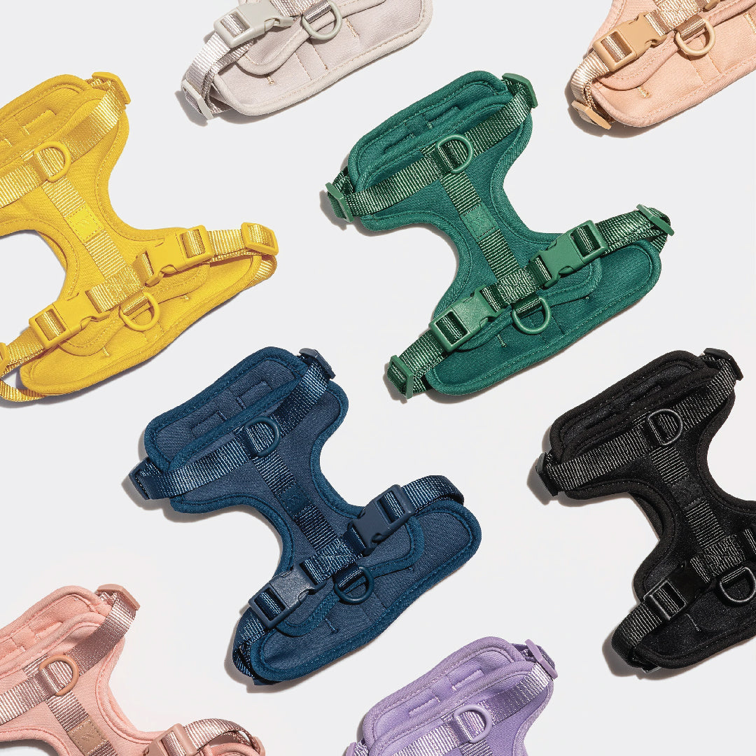 Harness – TAILSTORE